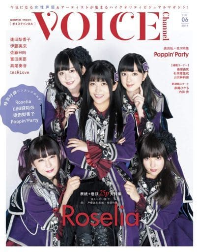 Voice actor magazines With Appendix) VOICE CHANNEL VOL. 6 Voice actor ...