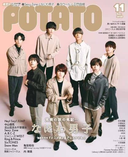 POTATO With Appendix) POTATO November 2020 French fries Entertainment | Book | Suruga-ya.com