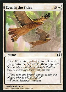 [C] : Eyes in the Skies | Toy Hobby | Suruga-ya.com