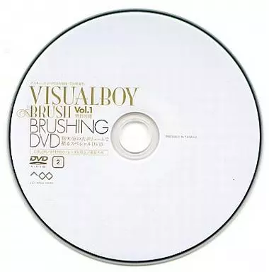 Other DVDs VISUAL BOY BRUSH Vol. 1 Special Appendix BRUSHING DVD A ...