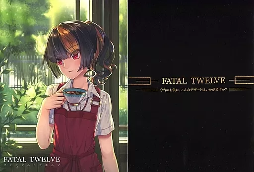 同人GAME DVDソフト FATAL TWELVE[とらのあな限定版] / あいうえおカンパニー(状態：設定資料集欠品、ケース破損) | 同人 | Suruga-ya.com