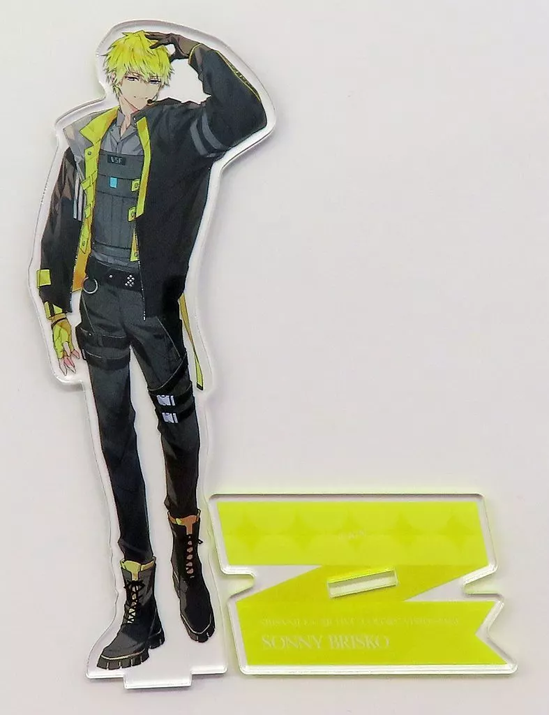 Acrylic Stand / Acrylic Panel Sunny Briscoe Acrylic Stand "Virtual ...