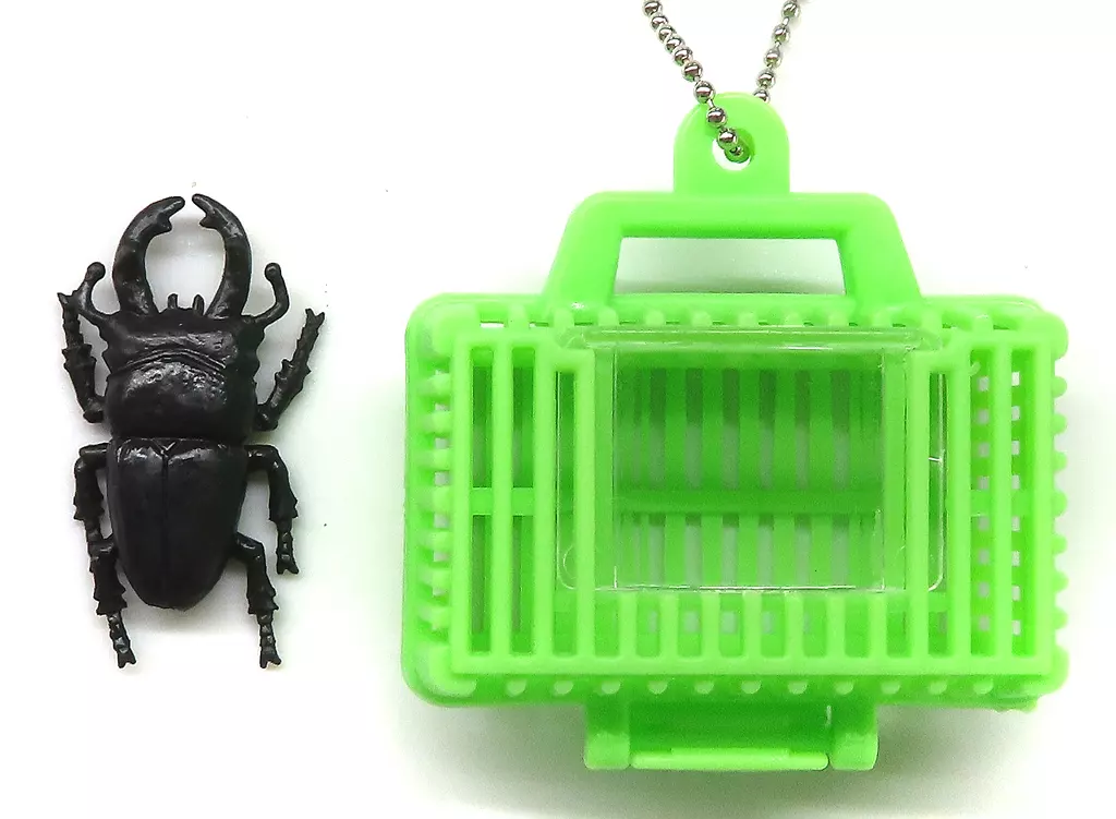 Stag beetle (insect cage) "Insect Cage with Insects, Mascot 7" | Goods ...