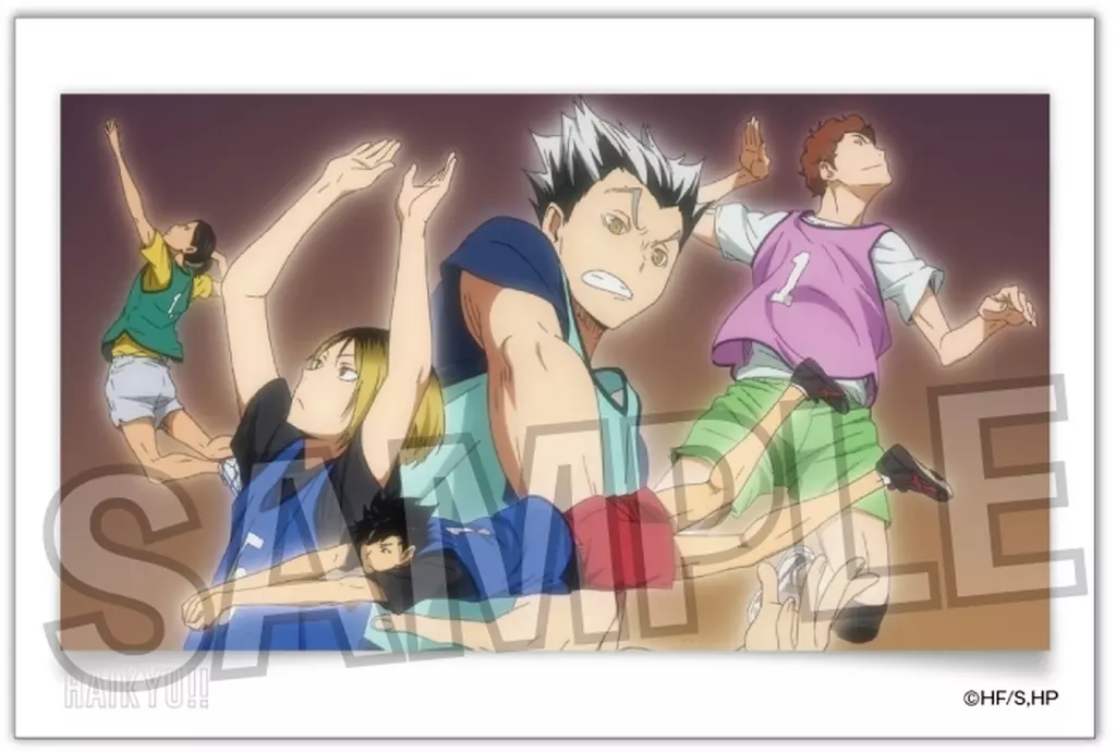 5. Block No. 6 "Haikyu!" | Goods / Accessories | Suruga-ya.com