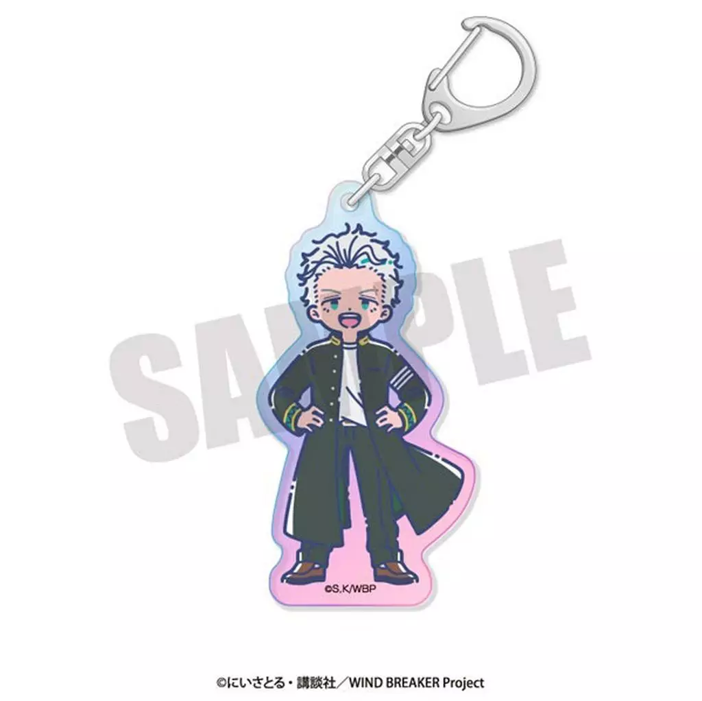 Key holder "WIND BREAKER" Aurora Acrylic Key Holder | Goods ...