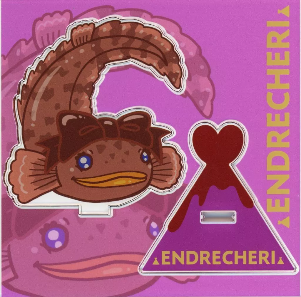 Acrylic Stand / Acrylic Panel ENDRECHERI (Takeshi Domoto) / Endri Kelly ...