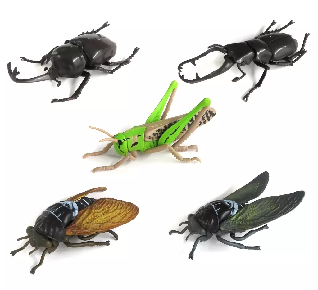 5-Type Set "Asoberu organism figure series : Insect Forest, Mystery of ...