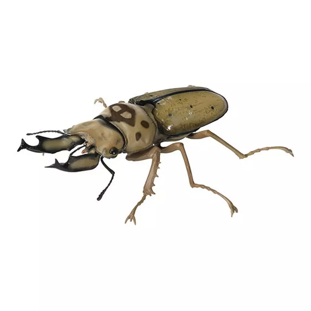 Moseri Scutellaria root Oni-Kuwagata "Ikimono Daizukan Kuwagata 09 ...