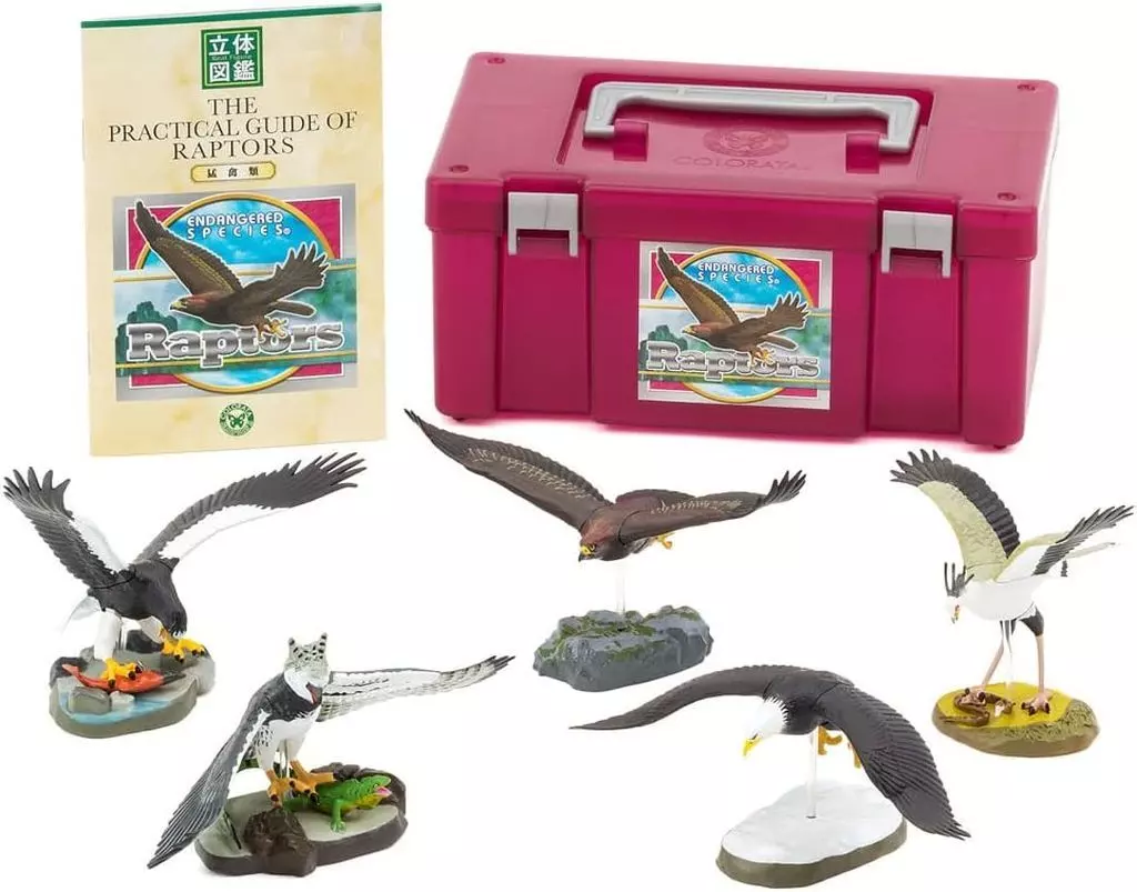 Figure Raptors BOX - Raptor Box - (5-Piece Set)' Three Dimensional ...