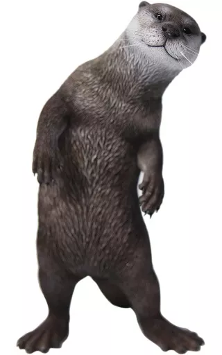 Otter A 1/6 resin-coated finished product | Toy Hobby | Suruga-ya.com