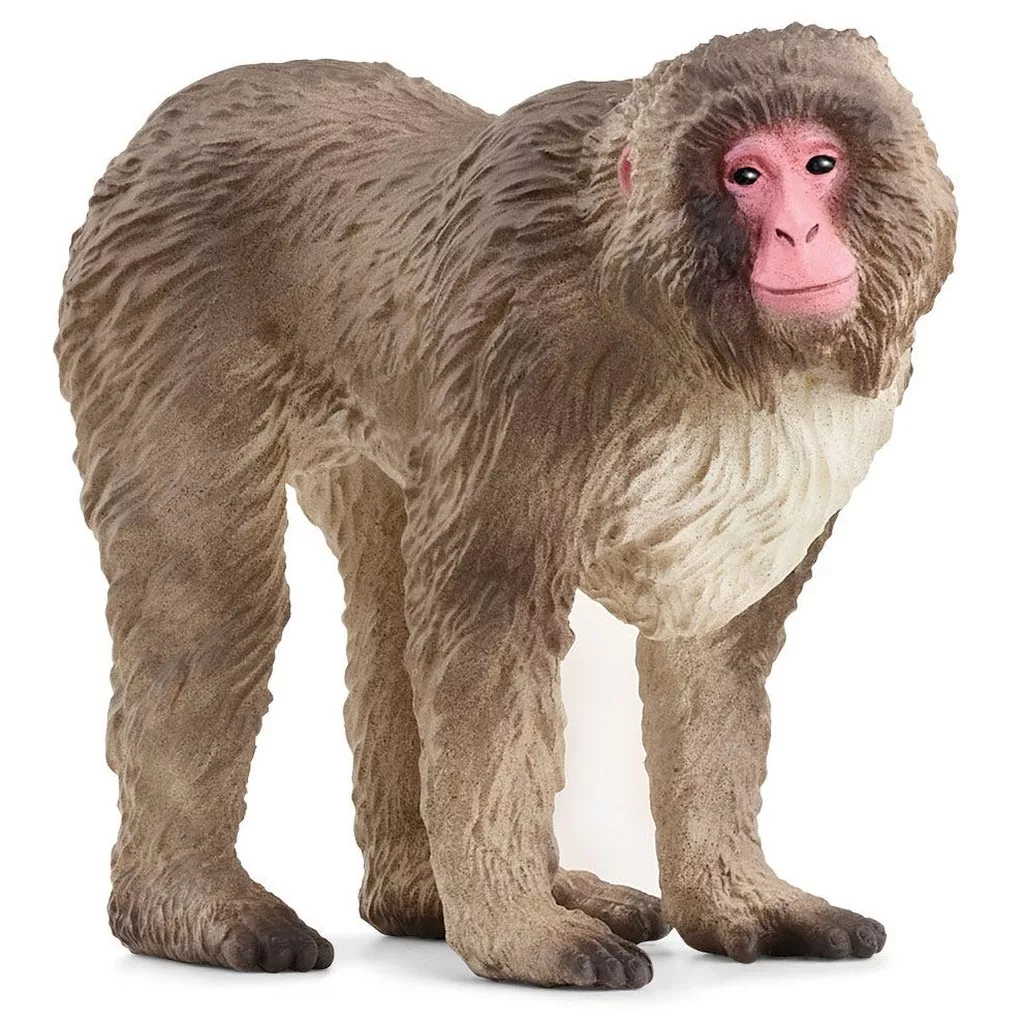 Figure Japanese Monkey "Schleich-Schreich" Wild Life - Wild Life No ...