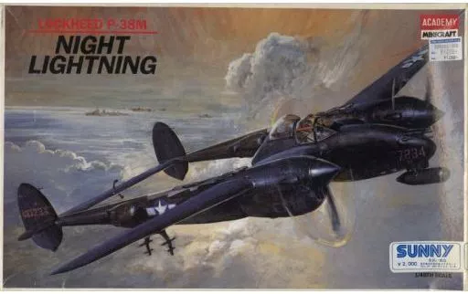 Plastic model 1/48 LOCKHEED P38 NIGHT LIGTNING [2145] | Toy Hobby ...