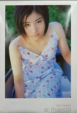 Ai Maeda 2001 calendar | 雑貨・小物 | Suruga-ya.com