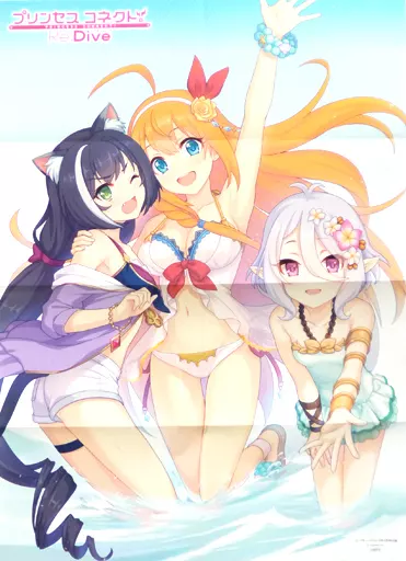 Appendix to August 2019 issue of Comp Tiik of key visual "Princess Connect! Re : Dive" with B2 ...