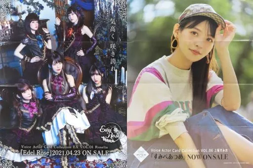 B2 Super-Extra Large Double-Sided Poster (eight fold) Roselia ...