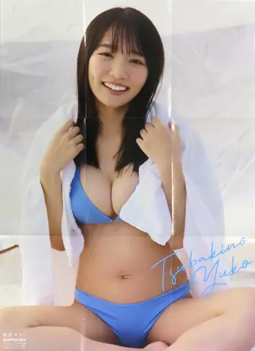 Poster B2BIG Poster (nine fold) Yuko Tsubakino Monthly Dragon Age March 2023 Extra Edition Young ...