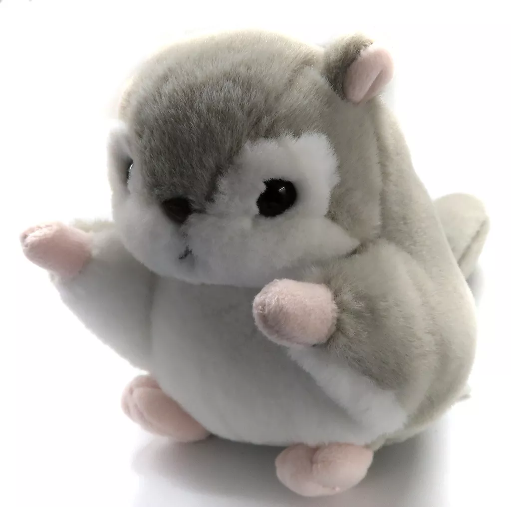 Plush toy Siberian flying squirrel Kitakata Ubutsubacha Plush toy | Toy ...