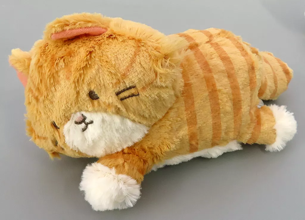 Neko (B / Brown) Plush toy (Neko)' Nandemo Ikimono' | Toy Hobby ...