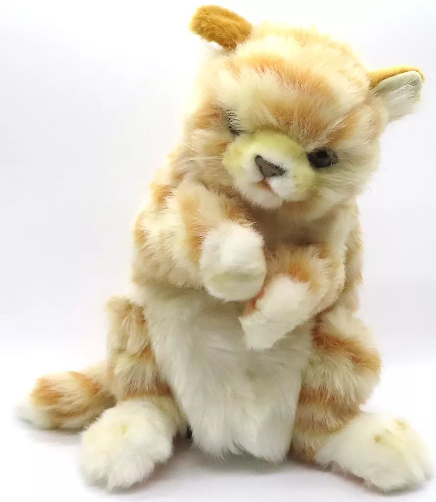 Neko Ginger Hand Puppet (Plush toy) | Toy Hobby | Suruga-ya.com