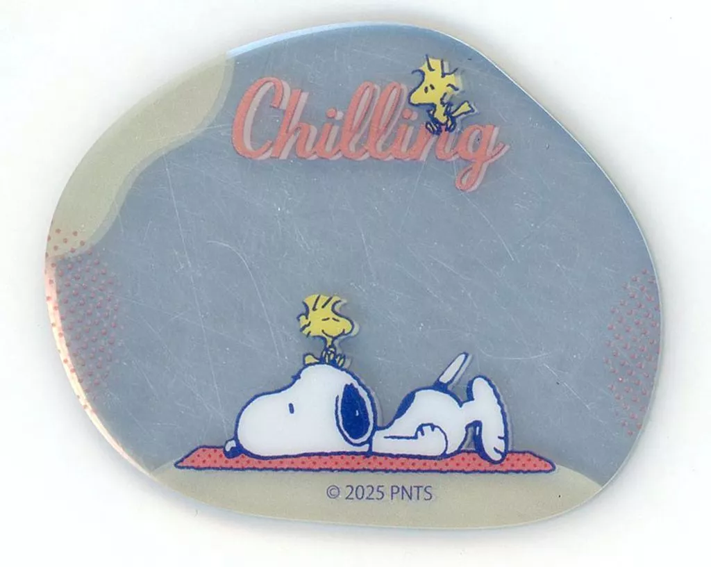 "PEANUTS (Snoopy) Secret Acrylic Mirror Seal" by Snoopy & Woodstock ...