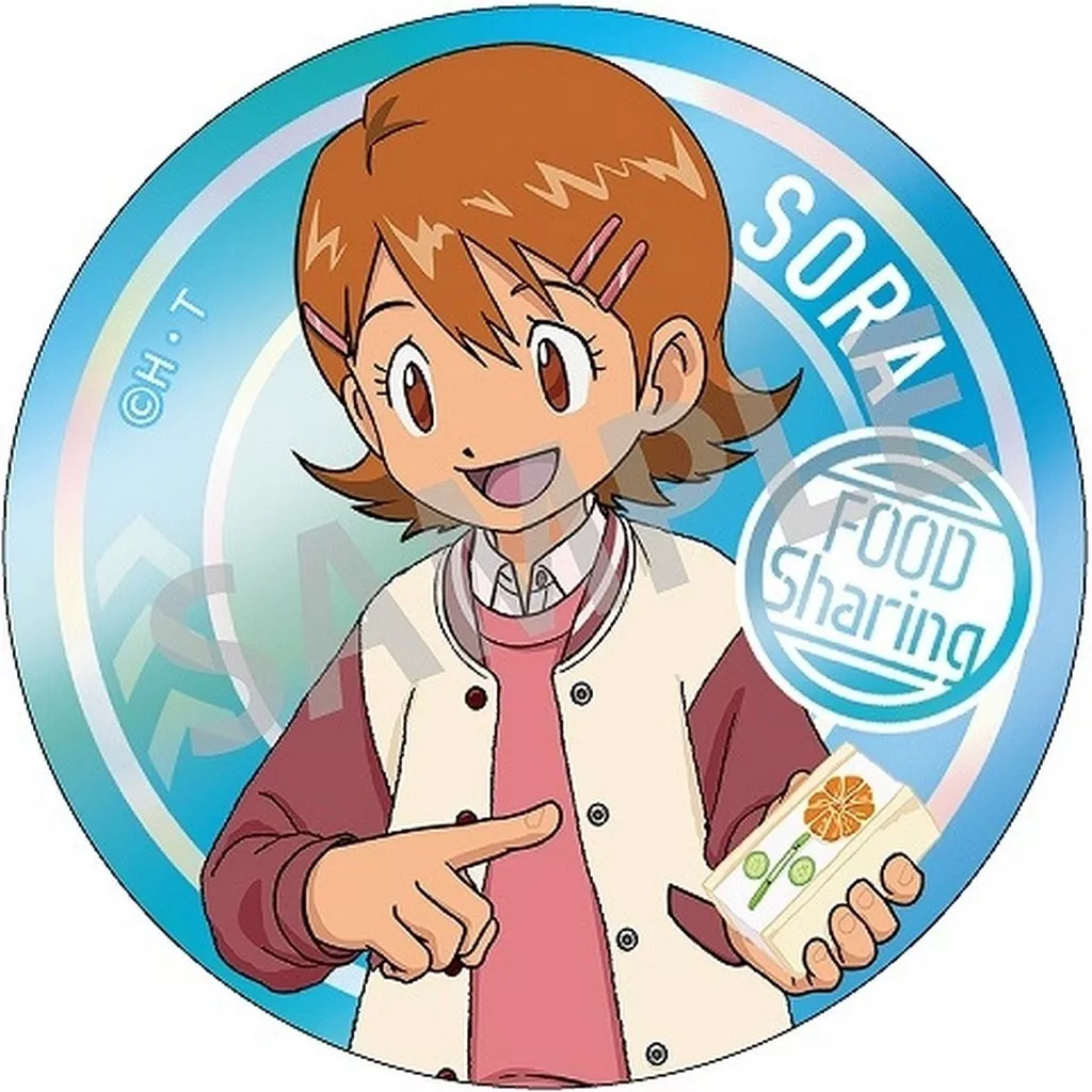 Sora Takenouchi "DIGIMON ADVENTURE Trading Metal metal badge vol. 2 ...