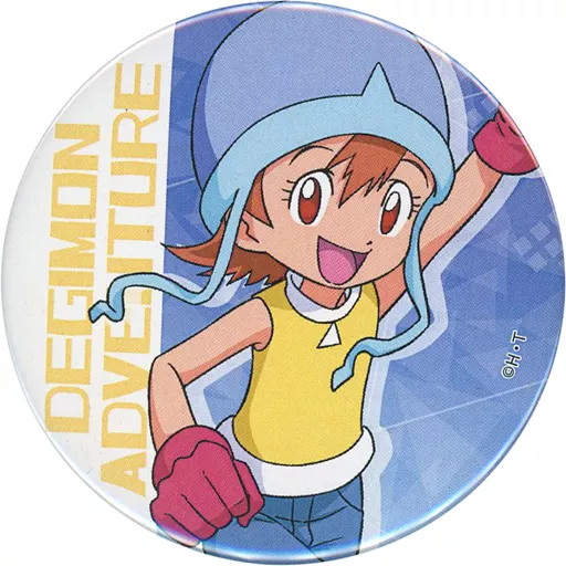 Digimon Adventure Sora Takenouchi