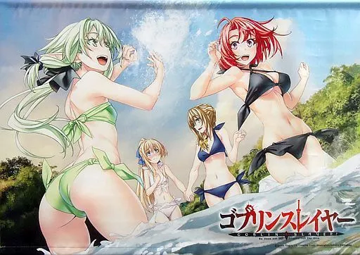 Tapestry Collection B2 Tapestry "Goblin Slayer" C95 Goods | Goods / Accessories | Suruga-ya.com