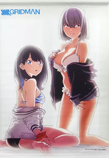Tapestry "SSSS. GRIDMAN" B2 Tapestry Painted by Takaragaroka & Akane Shinjo | Goods ...