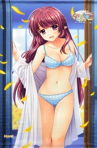 I Shea Drawing B2 Tapestry "PC-Soft SHUFFLE! Episode 2 ~ A man who is also targeted by God and ...