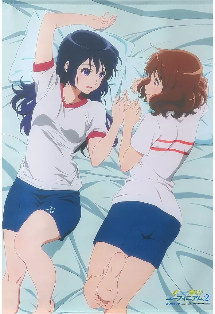 Tapestry Kumiko 黄前 & Reina Kousaka B2 Tapestry "Sound! Euphonium 2 Blu-ray Box" Sofmap Ya ...