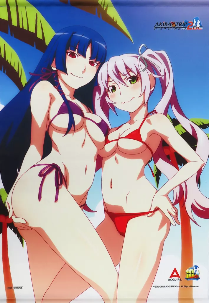 タペストリー Rin＆霞会志遠 B2タペストリー 「Switch/PS4ソフト AKIBA’S TRIP2 ディレクターズカット」 トレーダー限定購入特典 | Goods ...