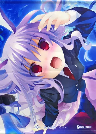 Doujin-Poster, Tapestry, Calendar [Eastern Project] B2 Tapestry Suzune, Yu Dongein Temple, INABA ...