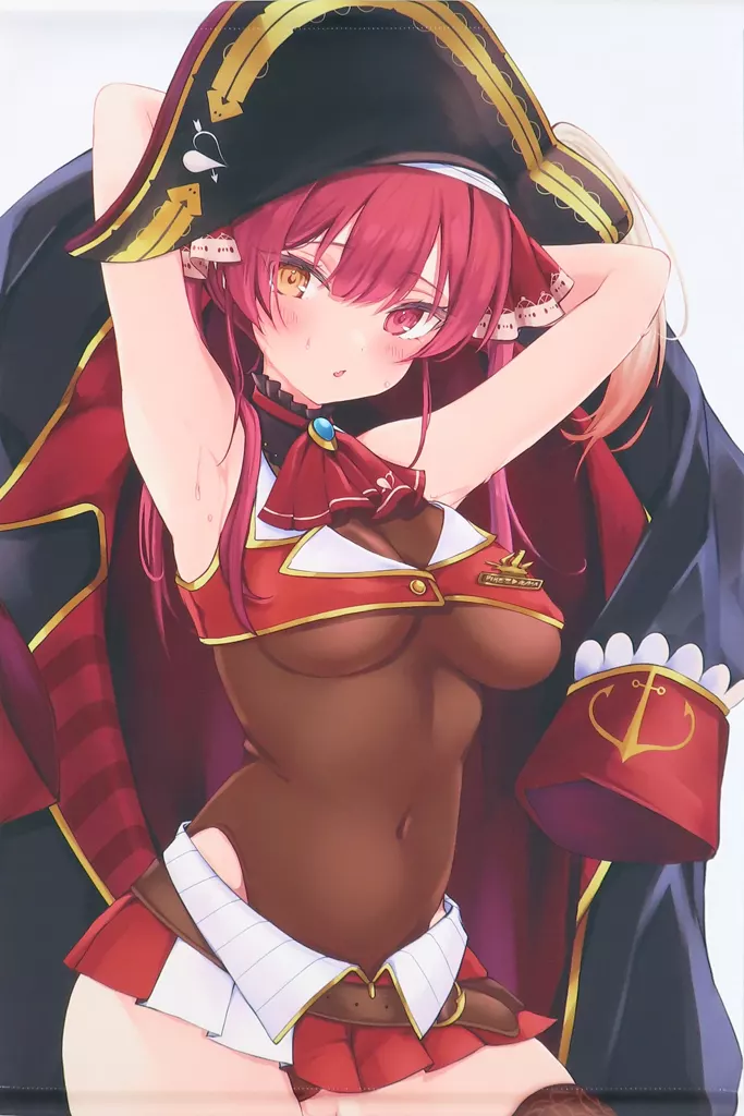 [Virtual YouTuber] B2 Tapestry Hosho Marine (Rikotan) C99 / Name-ni Tanzuke It's so tough ...