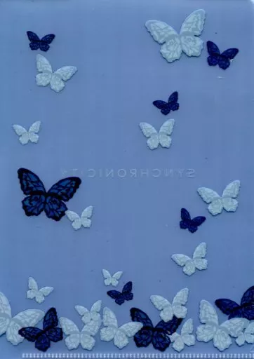 Nogizaka46 (Synchronicity) A5 costume plastic trasparent file folder ...
