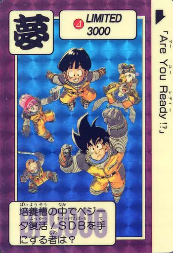 Anime Torayca / Prism / - / Limited Edition No. 2 Premium Card Das Δ ...