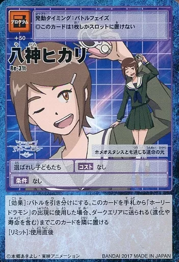 Re-31t : Hikari Hakami | Toy Hobby | Suruga-ya.com