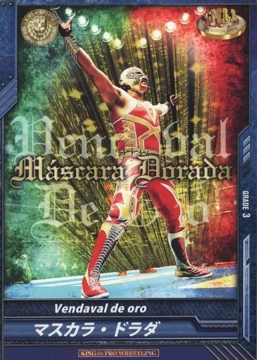 King of Pro Wrestling / R / Wrestler / The 13 th BEST OF KOPW BT13-014 [R] : [No Code Guarantee ...