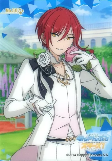 No. 507 [Normal Card] : Opposite Natsume | Toy Hobby | Suruga-ya.com