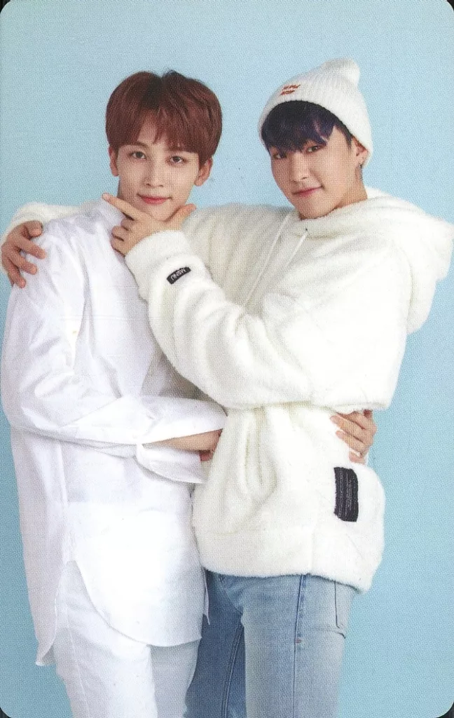 Collection Card (Male) / 2018 SVT 2nd FAN MEETING Trading Card B ...