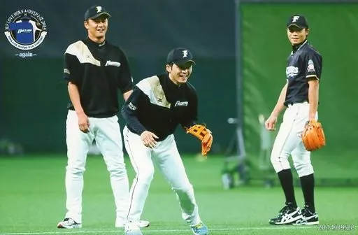 Official photo (male) / Professional baseball player Hokkaido Nippon ...