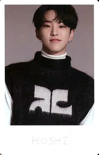 Collection Card (Male) / [2021 Seventeen ONLINE CONCERT ] Trading Card ...