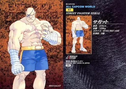 85 [Normal Card] : Satat | Toy Hobby | Suruga-ya.com