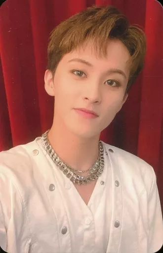 Collection Card (Male) / Blu-ray "NCT 127 2nd Tour NEO CITY : JAPAN-THE ...