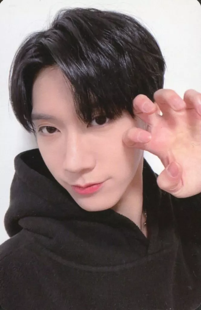 Collection card (male) / CDs "Phantom" Ktown4u Special Photo Card WayV ...