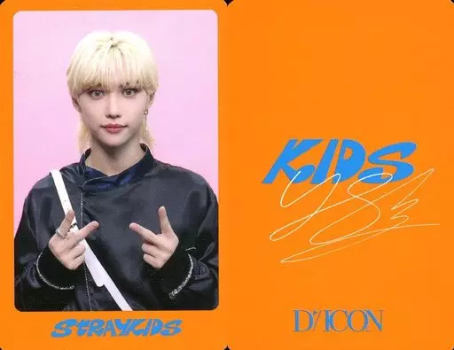 コレクションカード(男性)/「DICON D’FESTA MINI EDITION Stray Kids」フォトカード Stray Kids ...