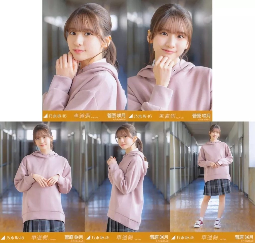 生写真(乃木坂46)/アイドル/乃木坂46 菅原咲月/「車道側 MV アンダーver.」WebShop 限定個別生写真 5種コンプリートセット ...