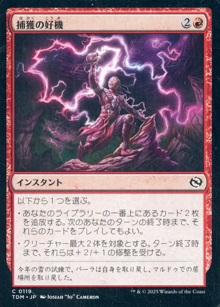 0119 [C] : [TDM] Capture Opportunity / Seize Opportunity | Toy Hobby ...