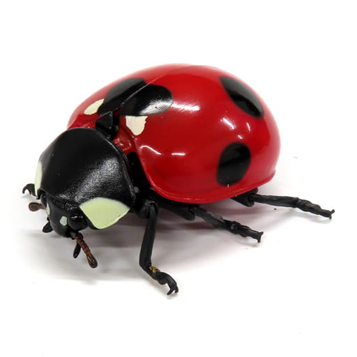 Trading figure Advanced Ladybird Ladybird | Toy Hobby | Suruga-ya.com