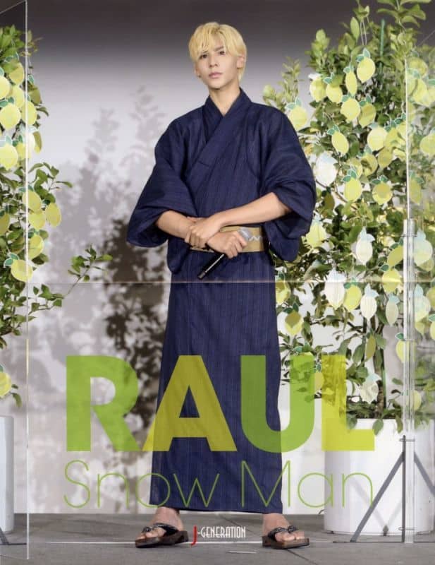Original Double-Sided Poster (Bi-fold) Raul (Snow Man) / Kazuya ...