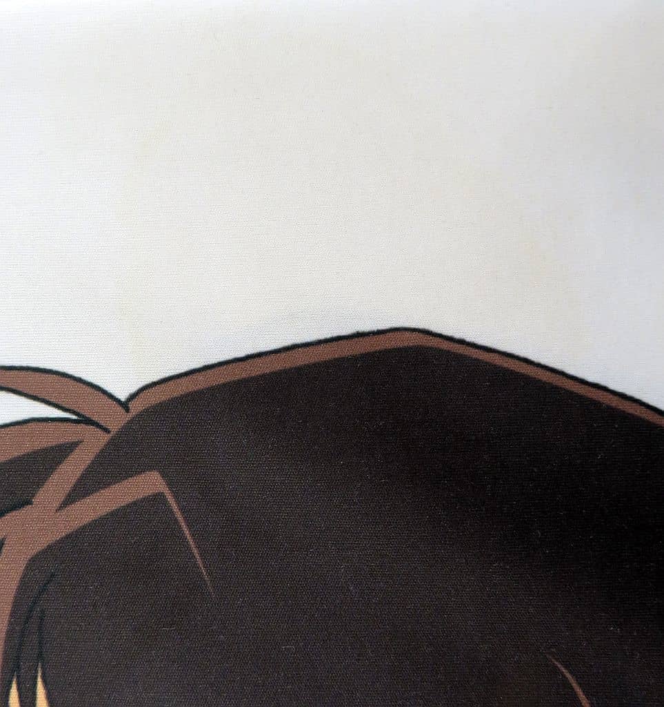 [Damaged] Shinichi Kudo Body Pillow Cover "Detective Conan" | Goods ...